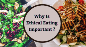 Food Ethics: Exploring The Rich Tapestry » Dashofinsight