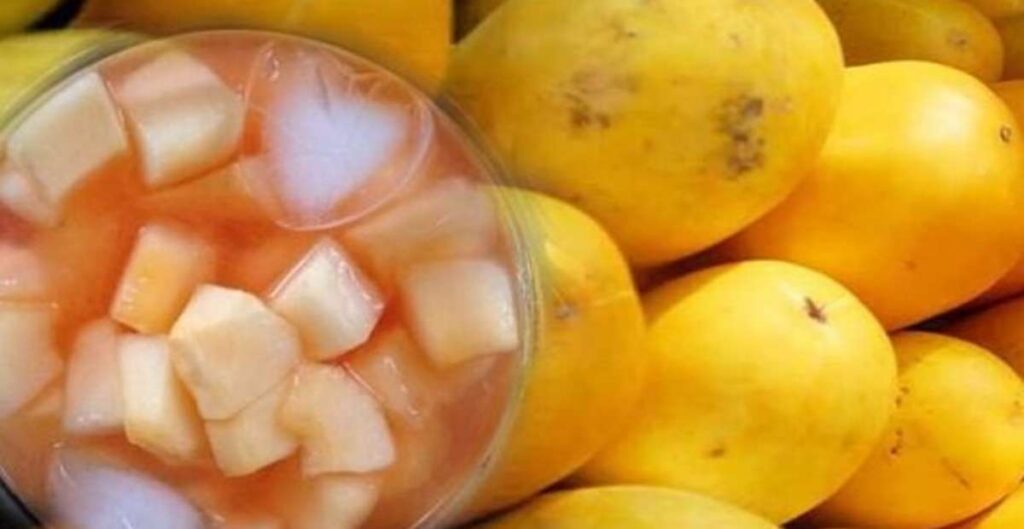 Mengenal Timun Suri: Buah Tropis Dengan Rasa Manis & Segar